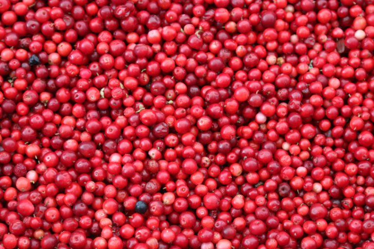 Το superfood που προσθέτει χρόνια ζωής και κάνει τον ύπνο καλύτερο